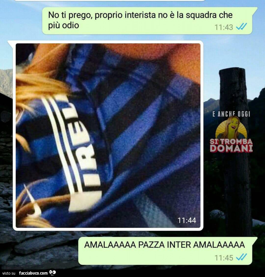 No ti prego, proprio interista no è la squadra che più odio. Amala ...
