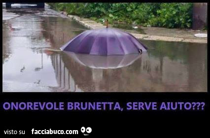 Tutti i meme su Renato Brunetta - Facciabuco.com