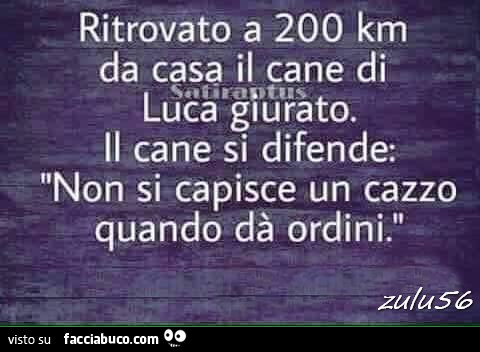 Tutti i meme su Luca Giurato - Facciabuco.com