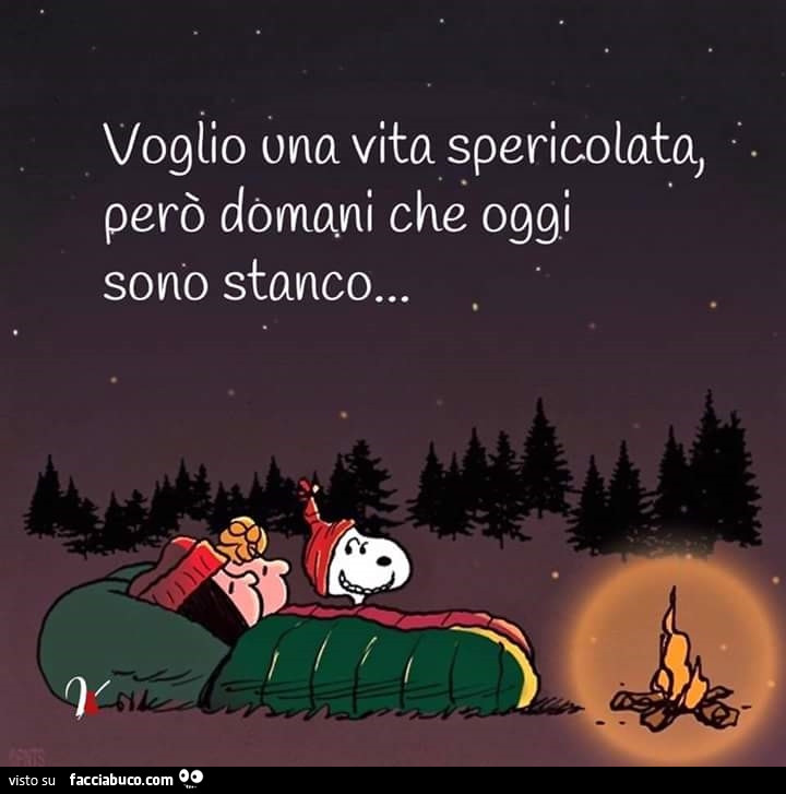 Tutti i meme su Snoopy - Facciabuco.com