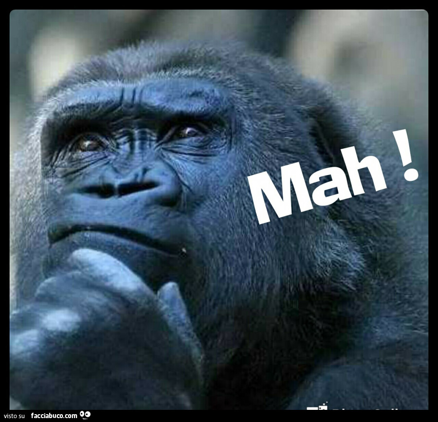 Scimmione pensieroso. Mah - Facciabuco.com